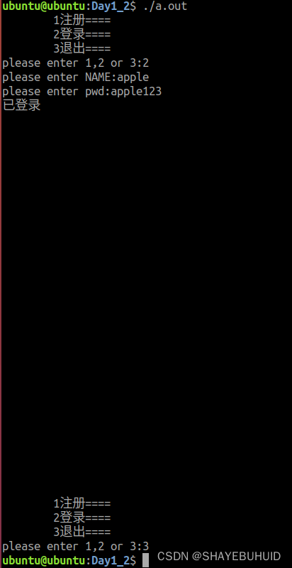 IO_day_1_2-CSDN博客