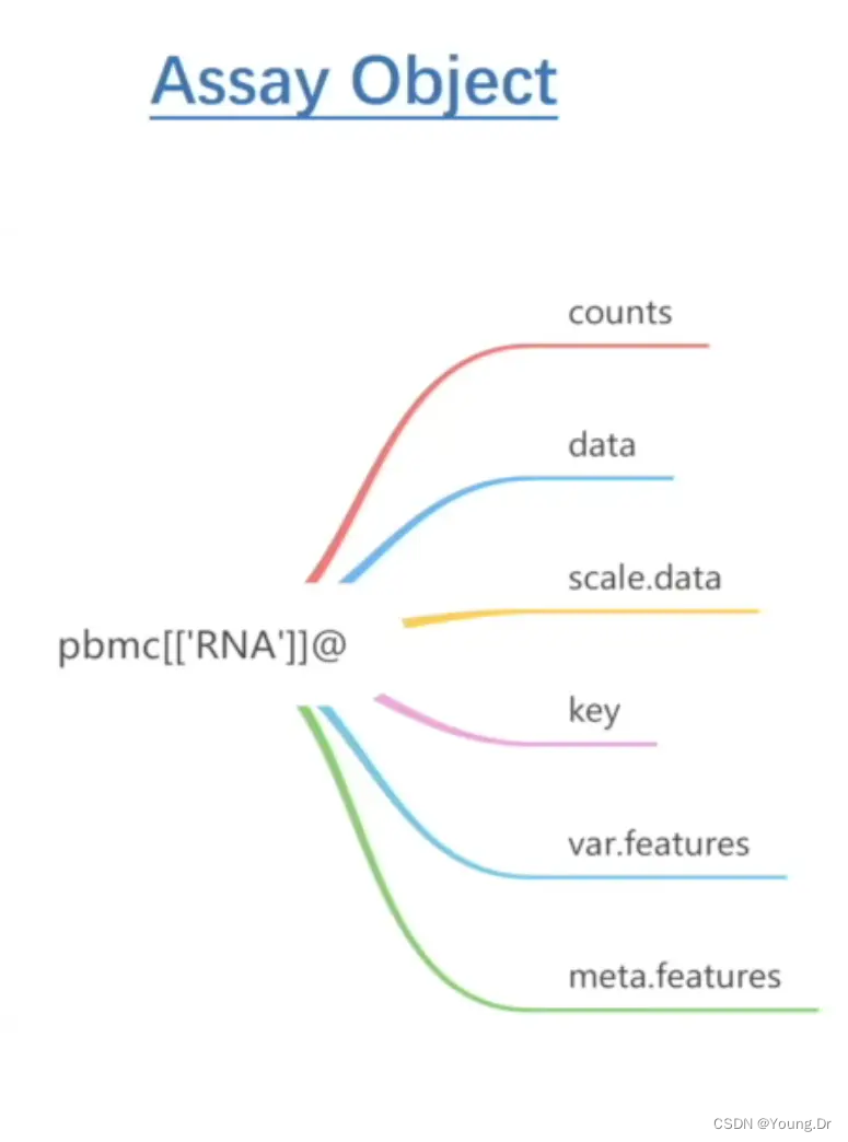 空转旋转 seurat spatial rotate 图片 翻转 数据结构 对象 seurat的空转数据存储_seurat对象assays添加元素-CSDN博客