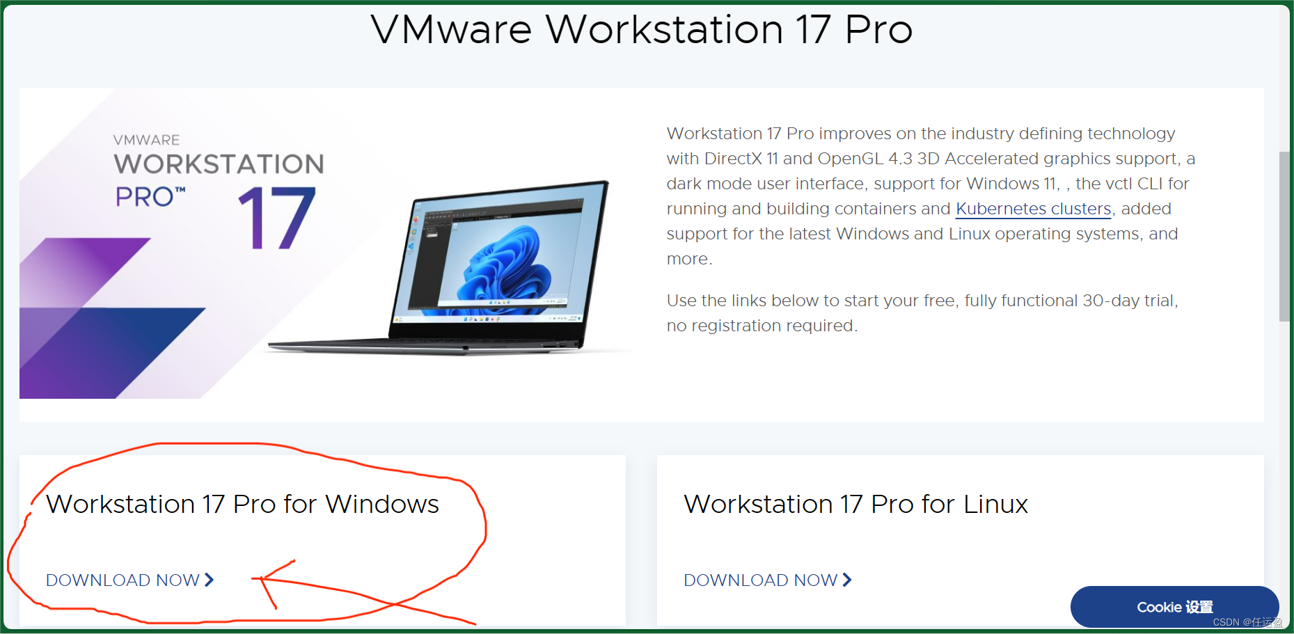 VMware 17 下载安装教程，以及在VMware 17 上安装Cent OS 7 的虚拟机教程（超详细）_vmware17-CSDN博客