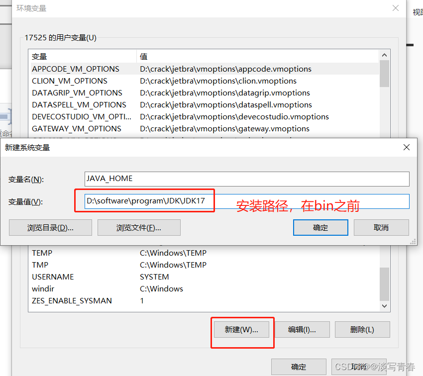 JDK17安装教程_microsoft-jdk-17.0.13-windows-x64-CSDN博客
