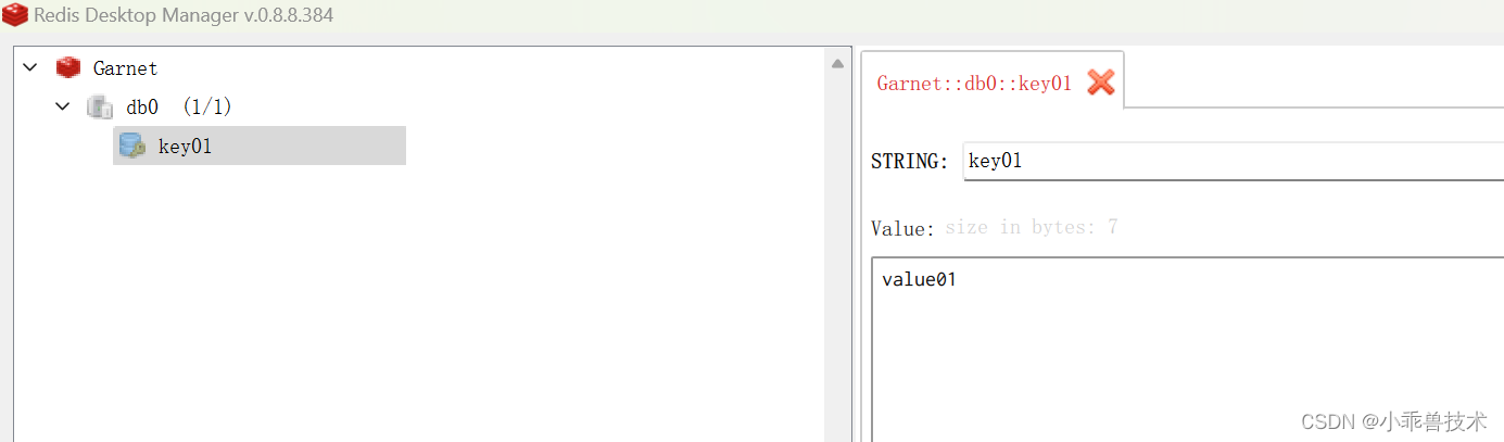 Garnet技术实战测试开发：像使用Redis一样使用Garnet_garnetserver-CSDN博客