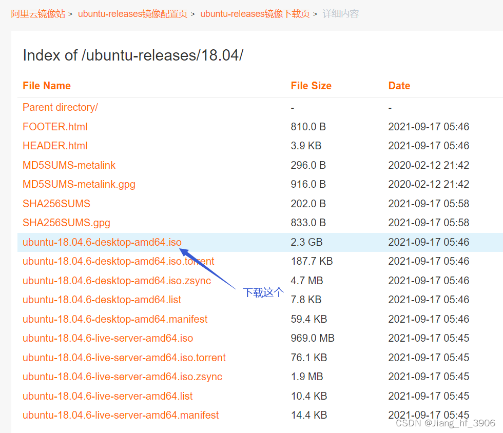 VMware虚拟机中安装Ubuntu18.04（linux发行版）【超详细图文教程】_vmware安装ubuntu18.04-CSDN博客