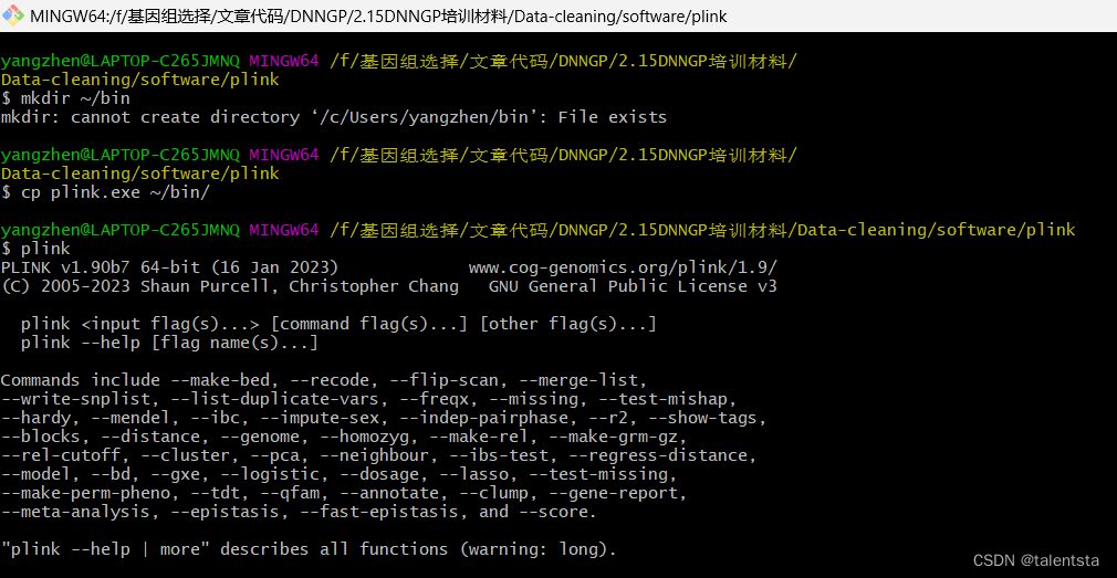 使用plink和git进行数据处理_从vcf开始使用plink进行数据过滤-CSDN博客