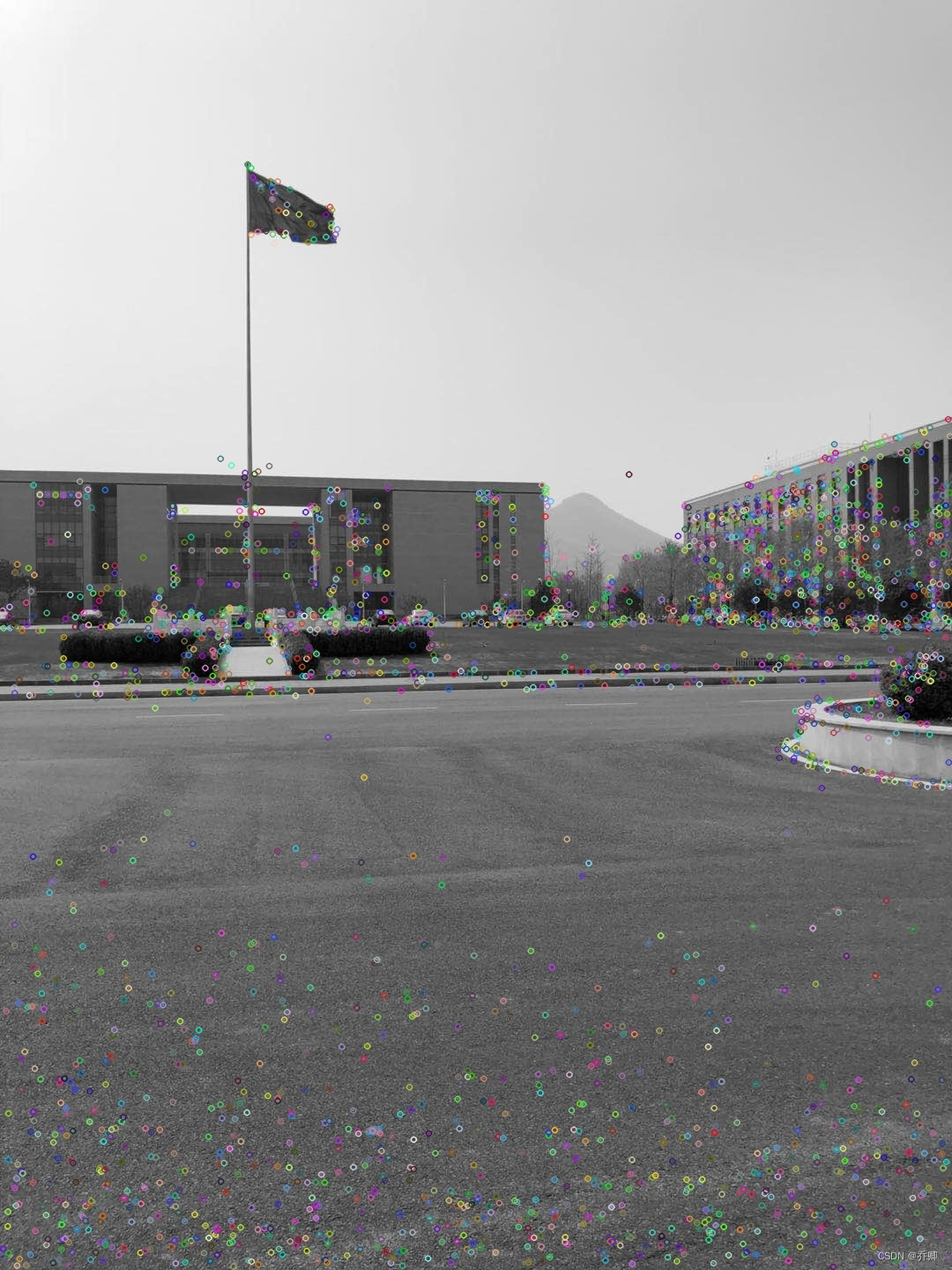 Python OpenCV SIFT特征提取的原理与代码实现_sift提取关键点python-CSDN博客