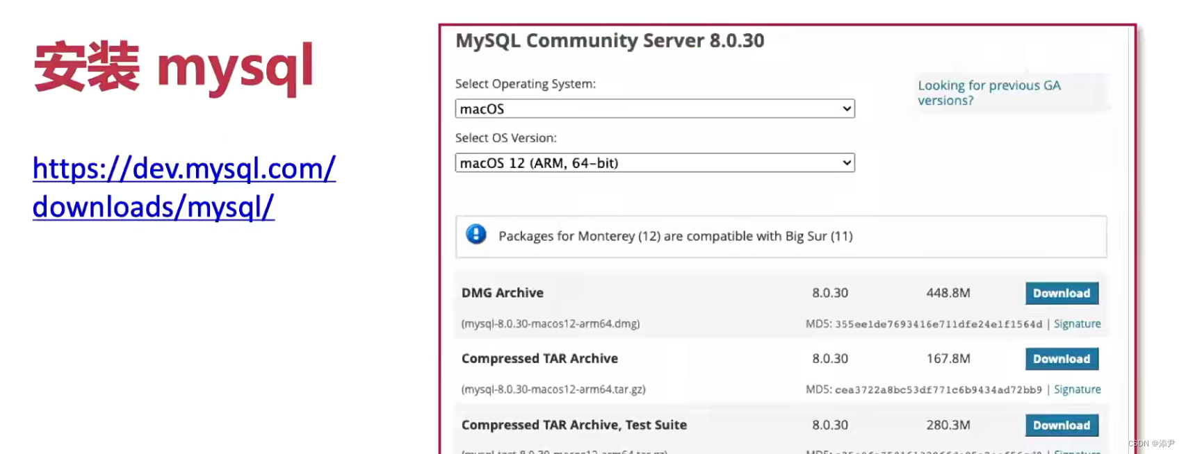 安装指南：NodeJS, pnpm, VSCode 与 MySQL-CSDN博客