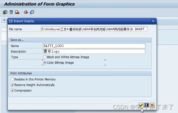 SMARTFORMS表单-上传下载-CSDN博客