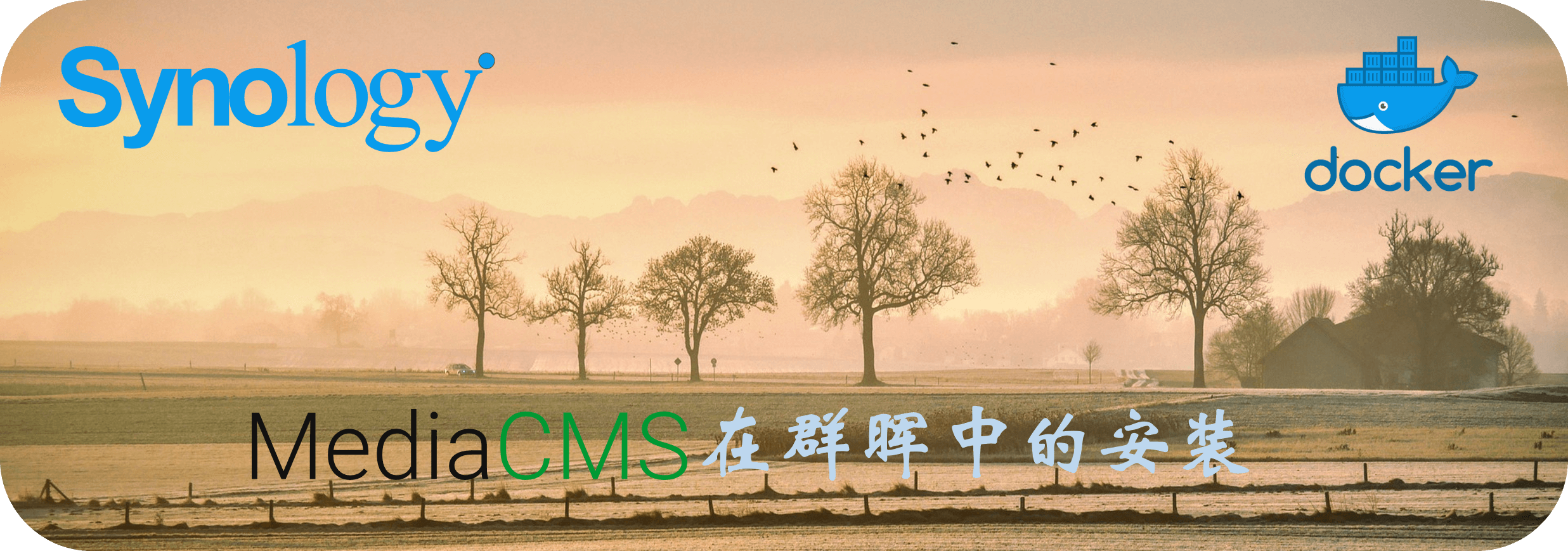MediaCMS在群晖中的安装-CSDN博客