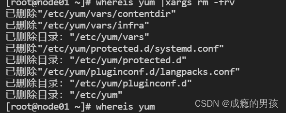 CentOS重装内核版本为7.9.2009版本的yum_centos linux release 7.9.2009-CSDN博客