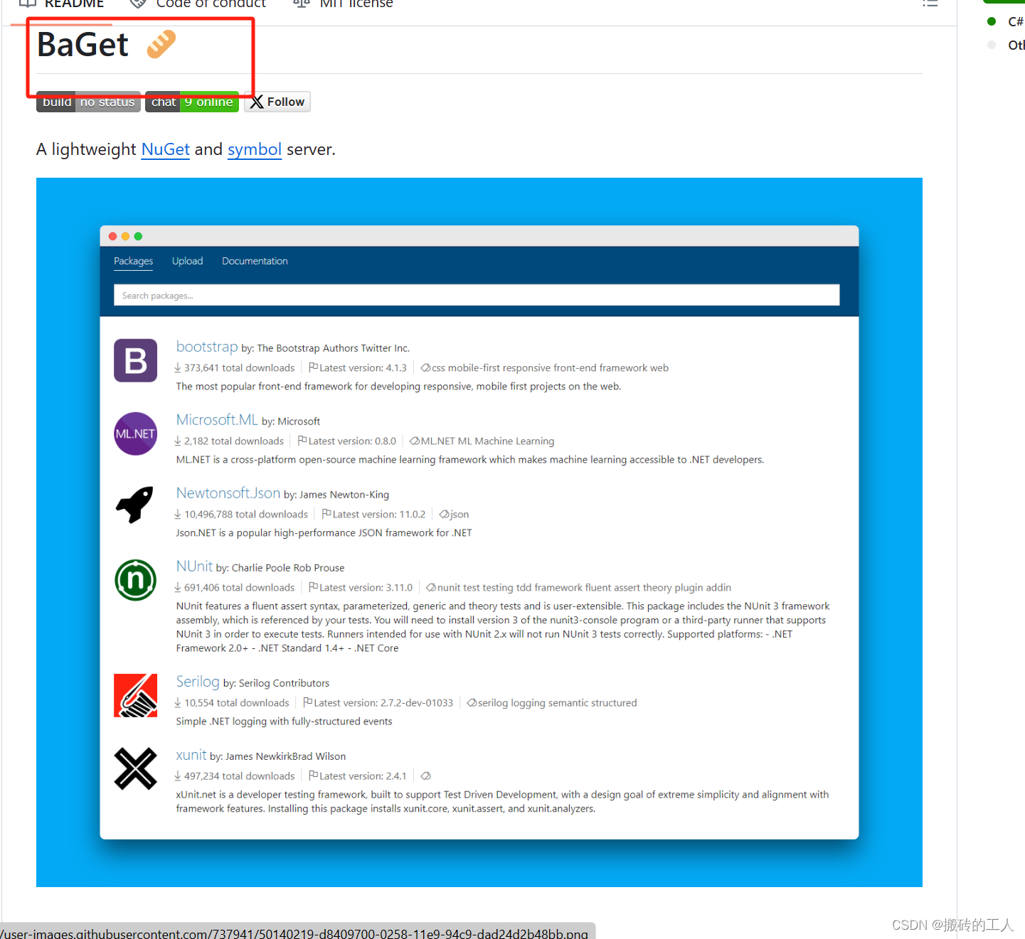 从0到1部署私域NuGet库：实战指南，让你轻松掌握！_baget iis-CSDN博客