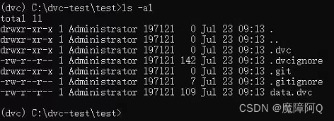 DVC保姆级教程_dvc pull-CSDN博客