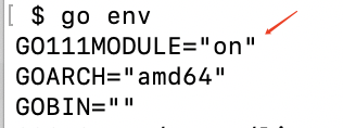 golang学习之解决依赖包飘红问题_go mody tidy 不报错但是go依赖报红-CSDN博客