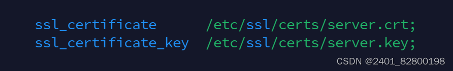 docker 安装nginx 配置证书报SSL: error:80000002:system library::No such file or directory:calling fopen ...