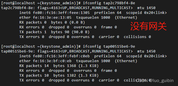 OpenStack（4）--NameSpace实现不同项目（租户）重叠网段_openstack namespace-CSDN博客