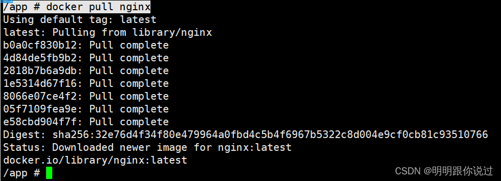 Docker in Docker（DinD）原理与实战-CSDN博客