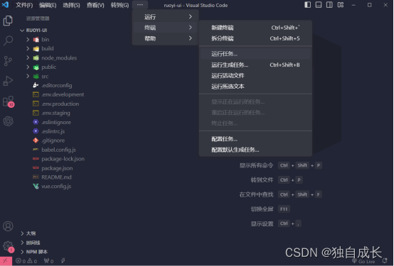 打包部署若依(RuoYi)SpringBoot后端和Vue前端图文教程_若依打包部署-CSDN博客