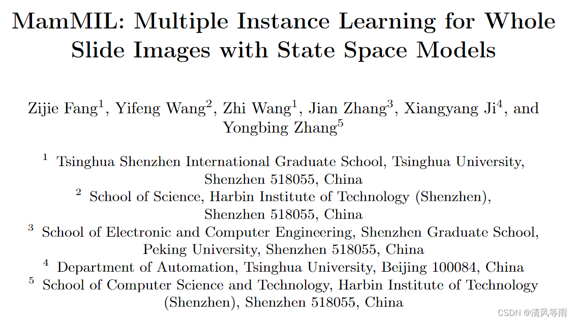 论文阅读:MamMIL: Multiple Instance Learning for Whole Slide Images with State Space Models-CSDN博客