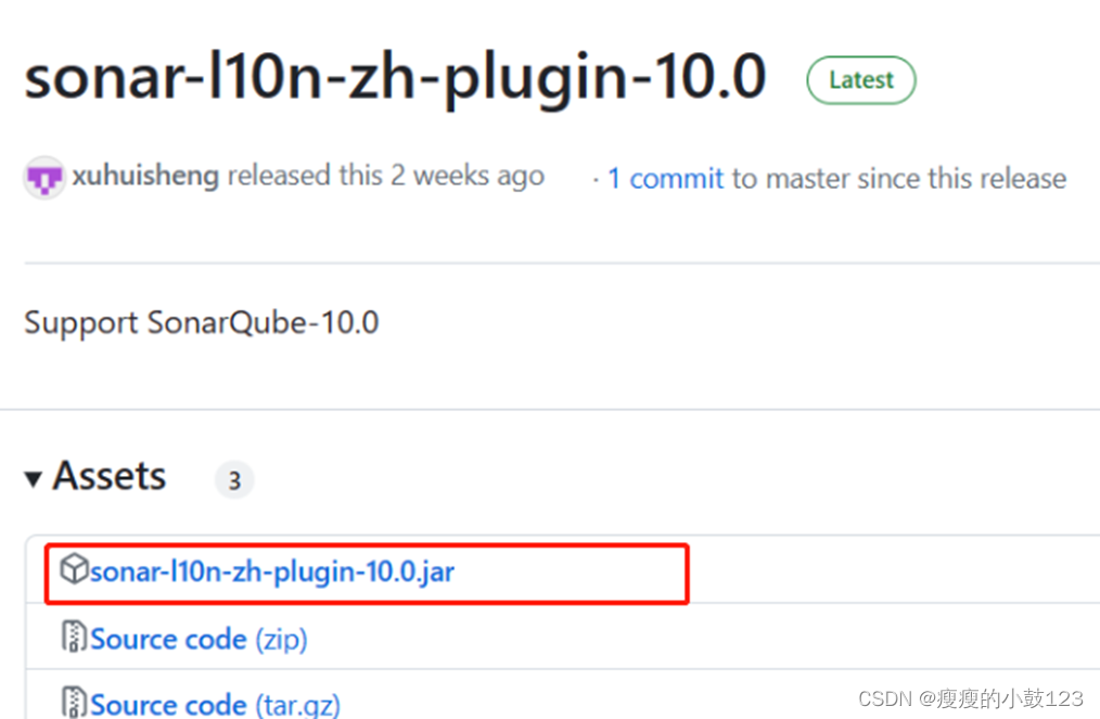 windows下配置sonarqube10代码扫描步骤详情_windows sonarqube sqlserver-CSDN博客