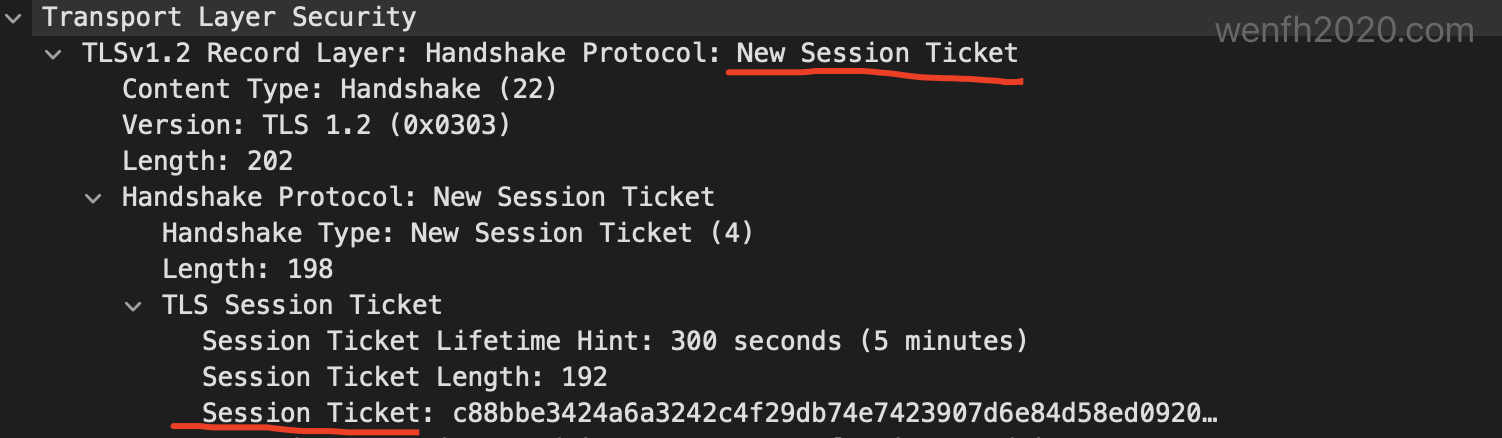 浅析 TLS（ECDHE）协议的握手流程（图解）_tls如何直接交互-CSDN博客