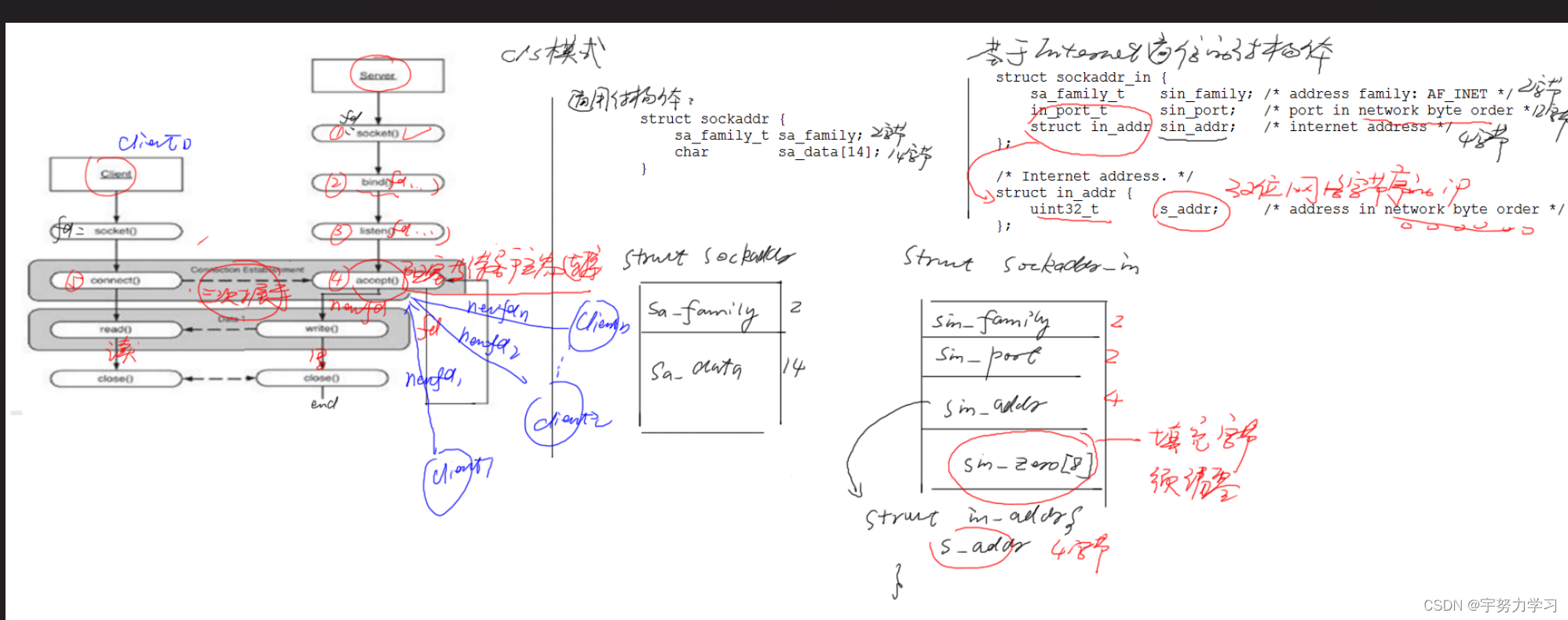 Linux学习——网络编程基础及TCP服务器_sockddr-CSDN博客