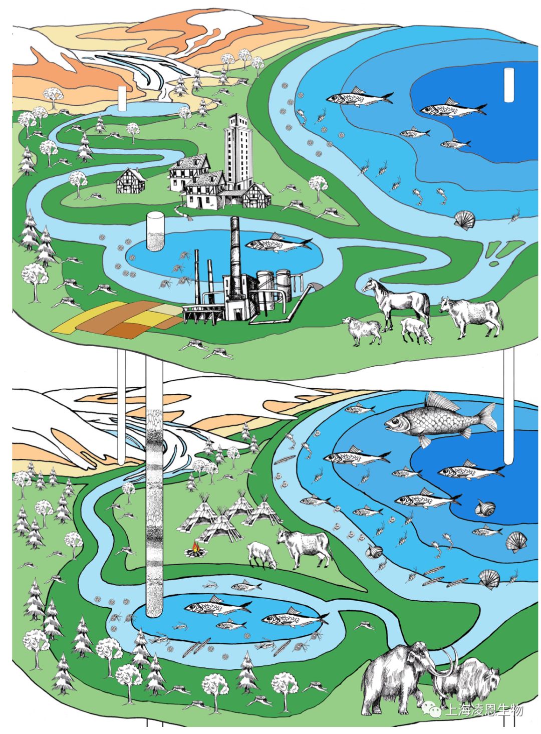 eDNA专题|今年超火的eDNA技术是什么-CSDN博客