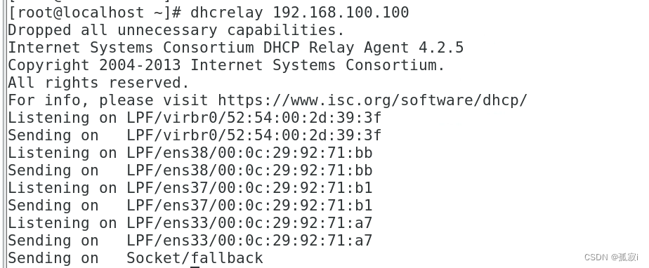 Centos7搭建DHCP服务器以及DHCP中继代理配置_centos 7 什么是dhcp中继代理 dhcrelay-CSDN博客