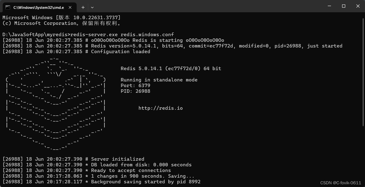 Redis快速入门_redis启动命令cmd-CSDN博客