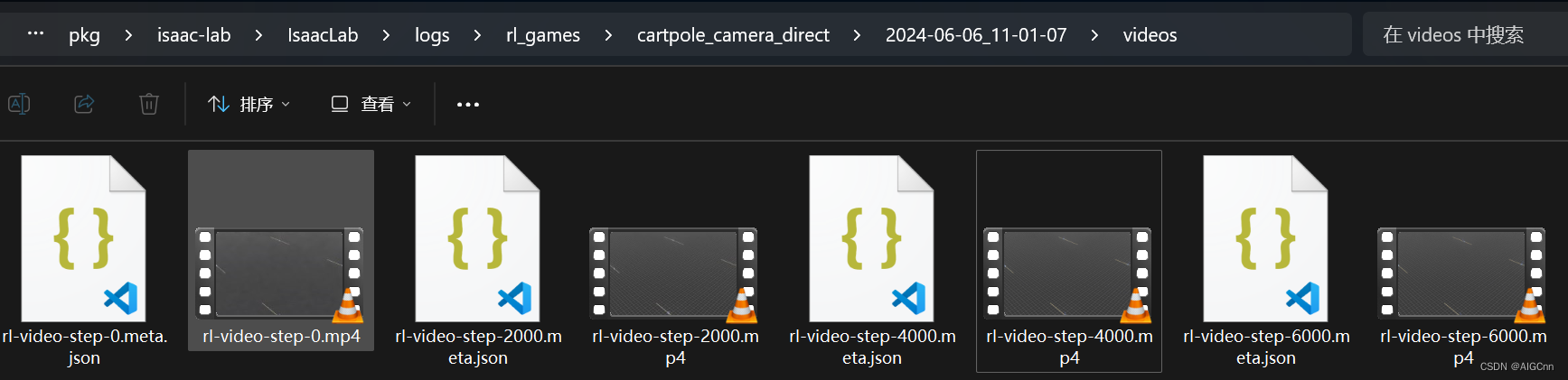 Isaac Lab CartPole实验（摄像头版本）-CSDN博客