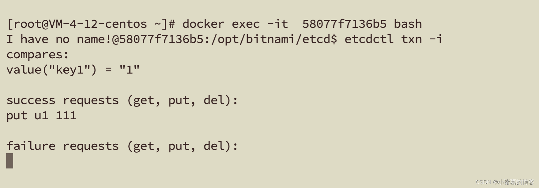 etcdctl txn如何使用-CSDN博客
