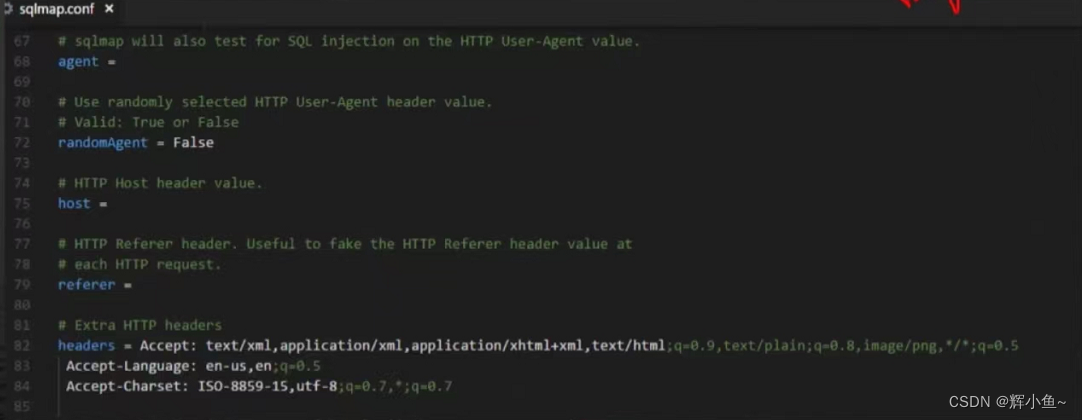 Sqlmap 22.05.23.04_sqlmap header-CSDN博客