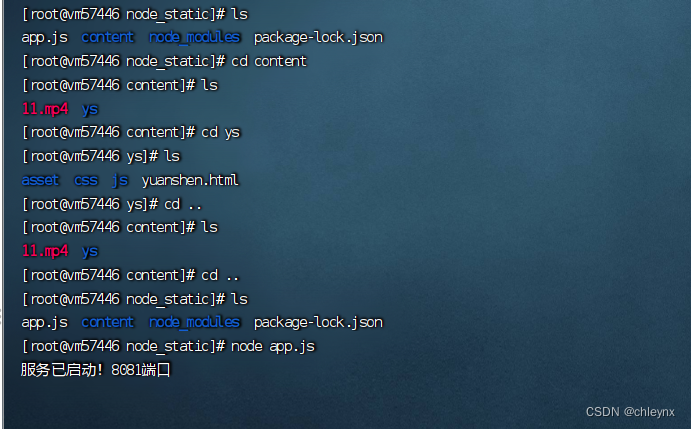 centos7 之开启web服务之nodejs,配置网页服务_centos js 网站-CSDN博客
