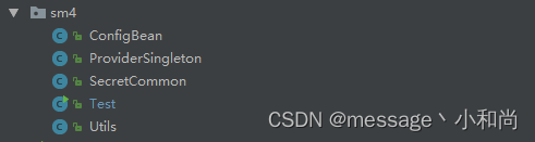 JAVA集成国密SM4_java sm4-CSDN博客