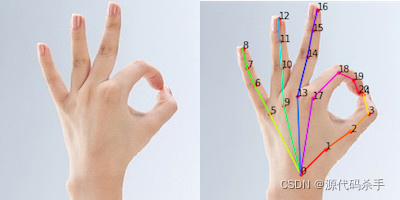 实战OpenPose项目3：pytorch 实现openpose(包括手和身体姿态估计)_pytorch openpose-CSDN博客