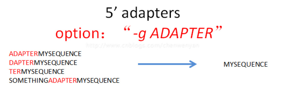 外显子分析：cutadapt，去除序列adapter详细解析-CSDN博客