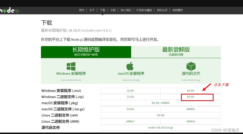 Vue路由及Node.js环境搭建_vue2.6.10对应的node版本-CSDN博客