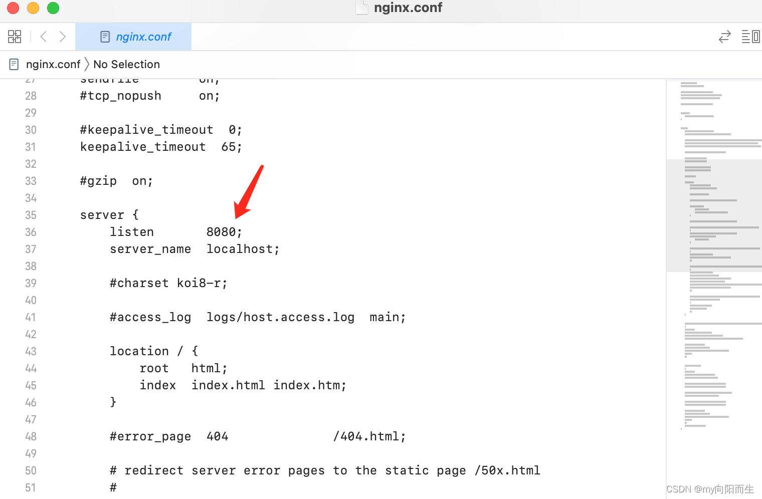 mac安装nigix且配置 vue/springboot项目（本地/服务器）_mac 安装 nginx-CSDN博客