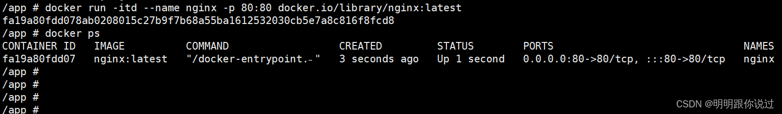 Docker in Docker（DinD）原理与实战-CSDN博客