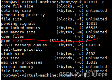 linux 中 fd 申请和释放管理(两级 bitmap)_fd释放-CSDN博客