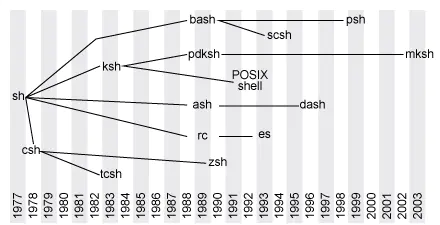 【Linux基础】理解并善用Shell -- Shell精讲_linux shell-CSDN博客