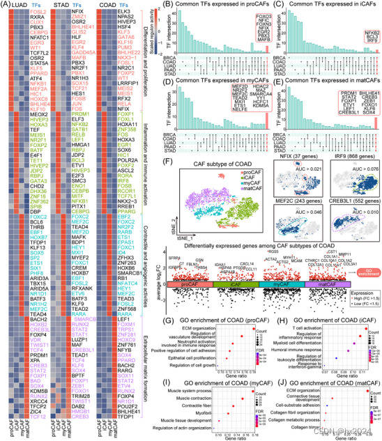 肿瘤相关成纤维细胞分型及单细胞深入研究（文献）_pancaf-CSDN博客