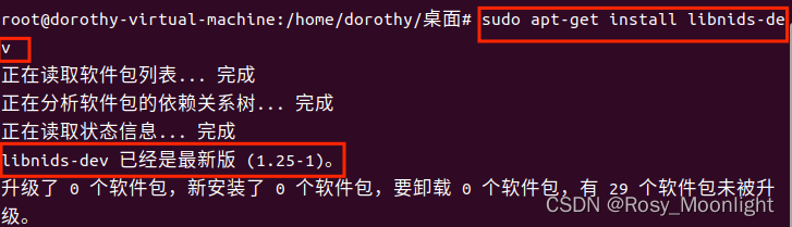 Libnids：网络入侵检测与协议分析工具-CSDN博客