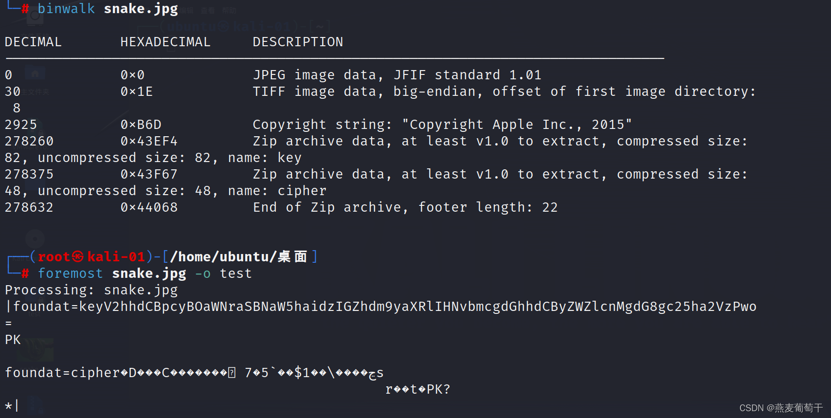 CTF-MISC：BUUCTF练习汇总（26-40题）_buuctf webshell-CSDN博客