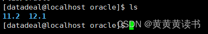 oci8安装：lua 连接oracle客户端包_lua oracle-CSDN博客