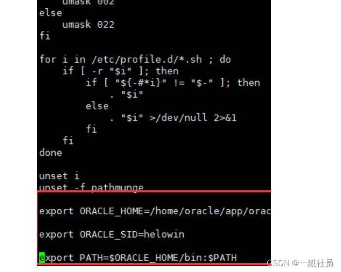 Docker安装Oracle11c_oracle 11c-CSDN博客