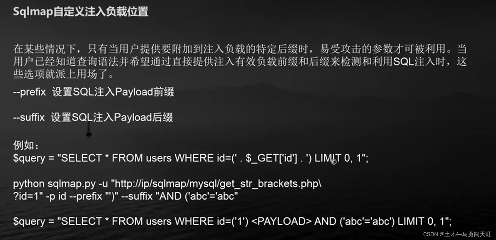 sqlmap使用指南（1）_sqlmap直接连接数据库-CSDN博客