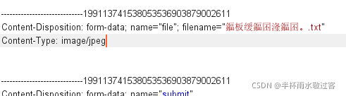 web buuctf [极客大挑战 2019]Upload1_don't lie to me, it's not image at all!!!-CSDN博客