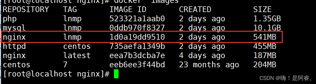 Docker搭建LNMP----（超详细）_docker lnmp-CSDN博客
