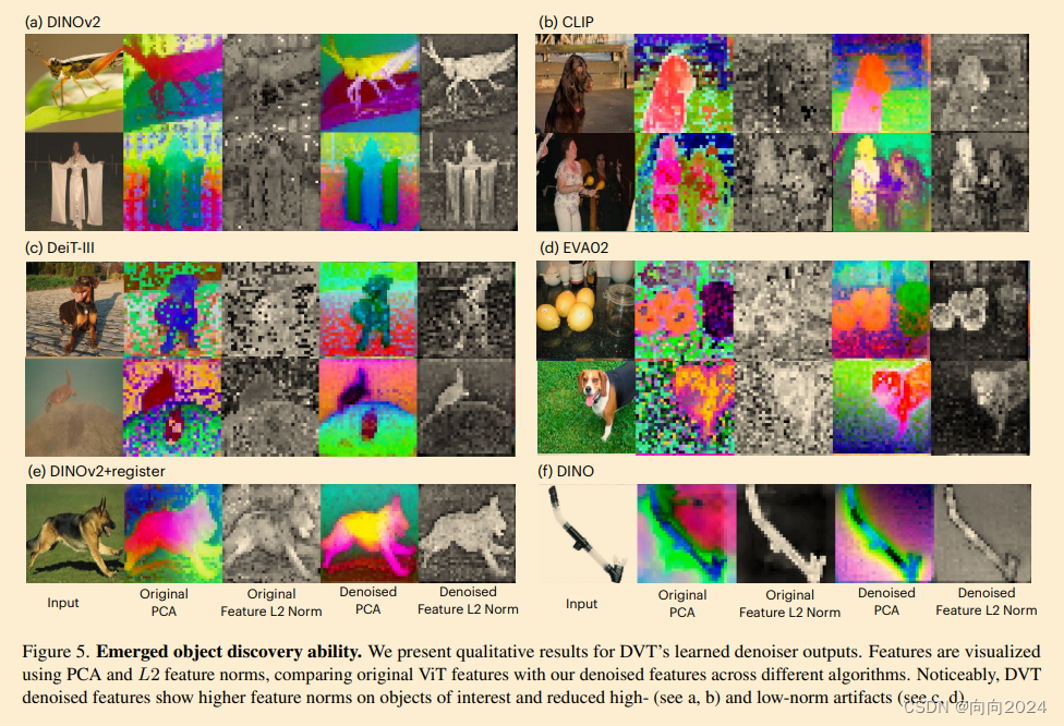 Denoising Vision Transformers-CSDN博客
