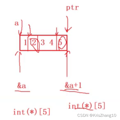 数组与指针内存理解：sizeof,&运算与数组地址-CSDN博客