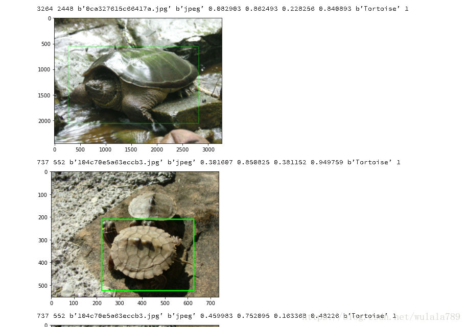 Google Open Images Dataset V4 图片数据集详解2-分类快速下载_openimage有多少g-CSDN博客