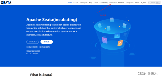 Linux安装Seata及其环境配置-CSDN博客